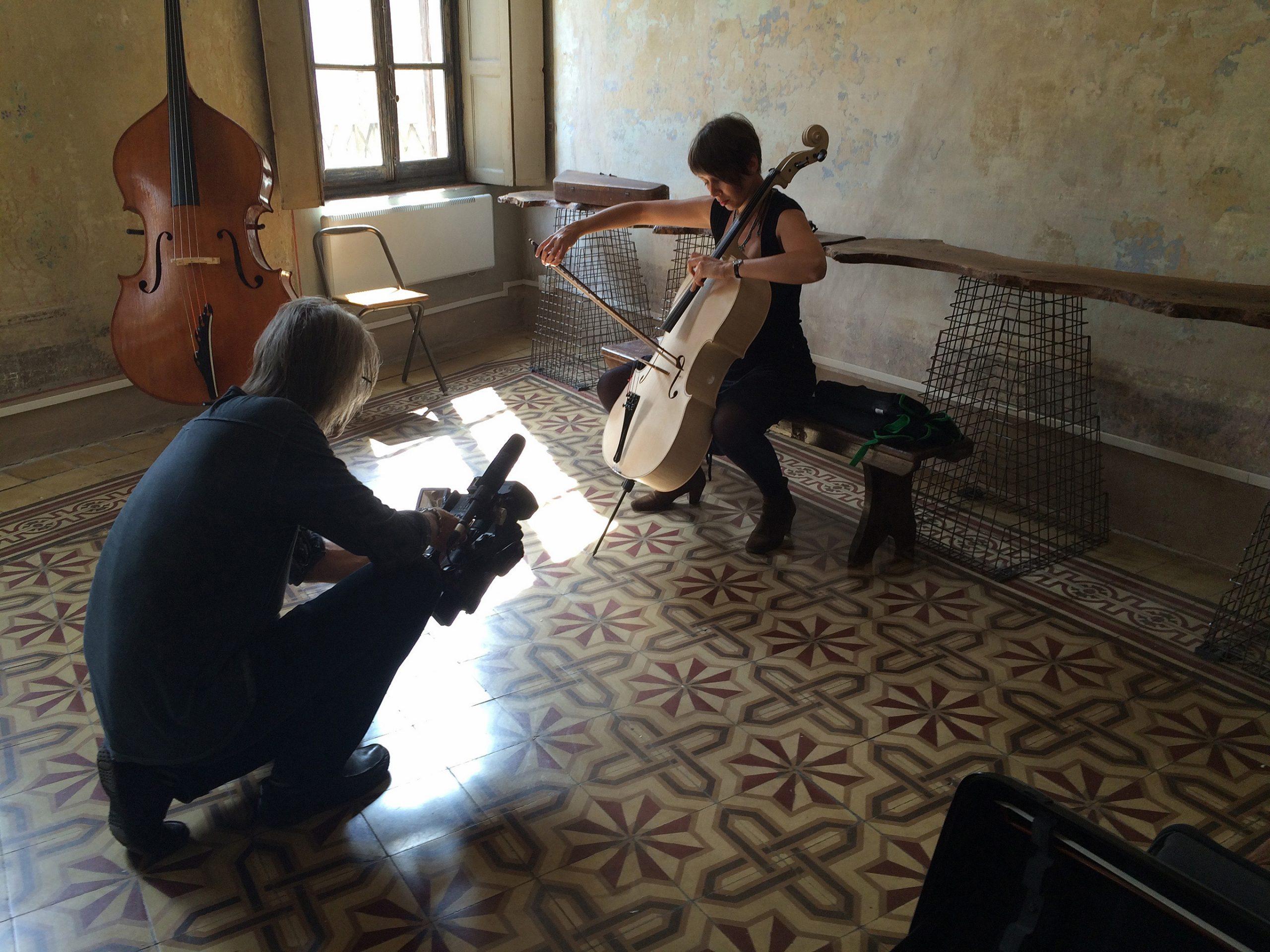 Highly Strung - Adelaide Film Festival