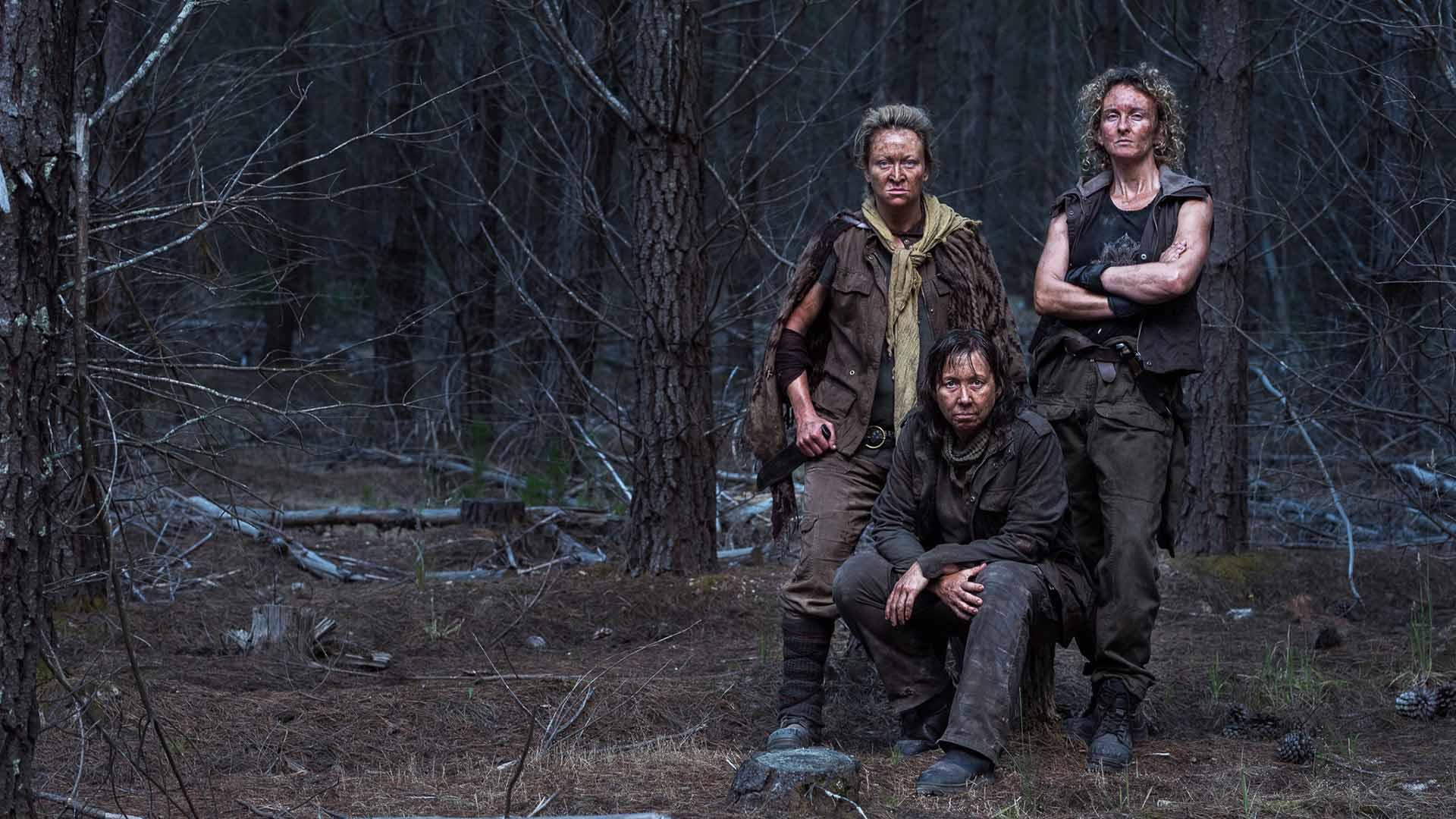 South Australian Film Corporation, Adelaide Film Festival and ...