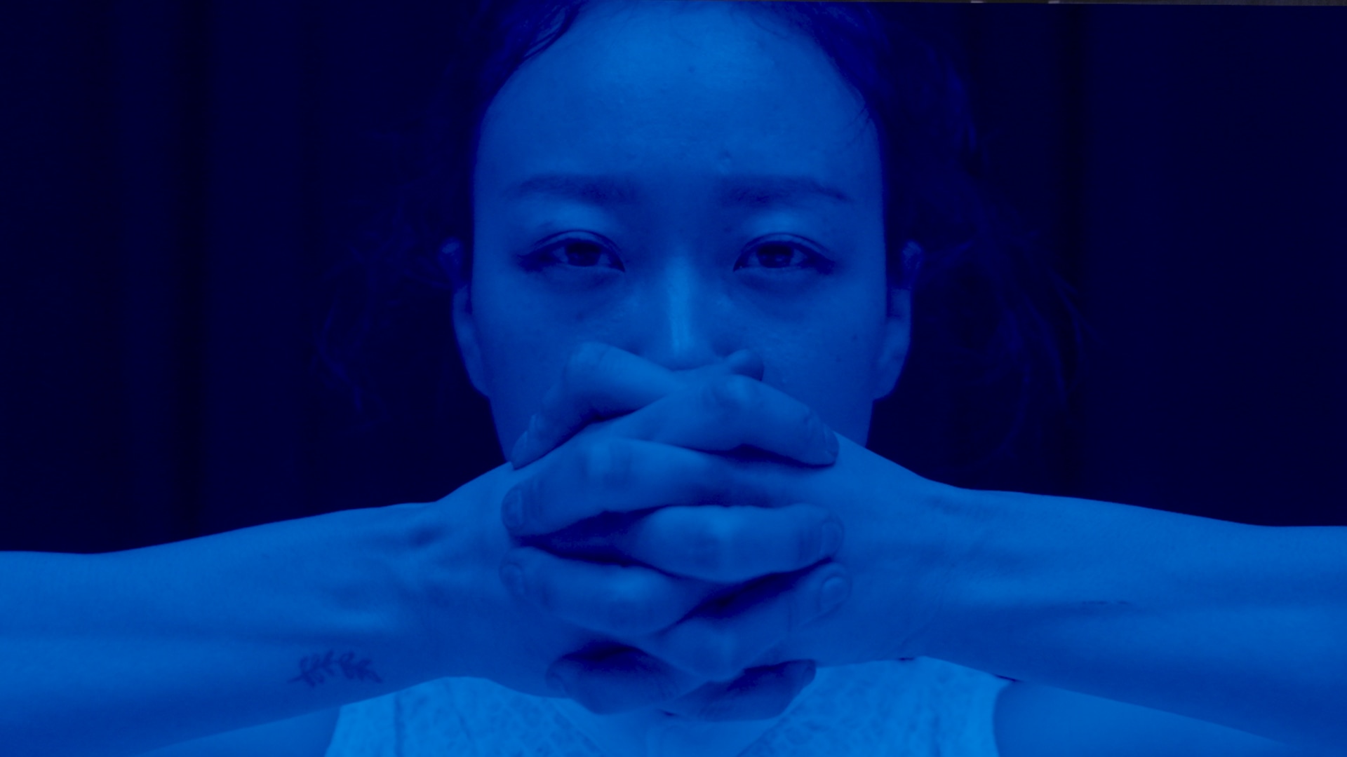 Counterpoise & Dancing Against the Odds - Adelaide Film Festival